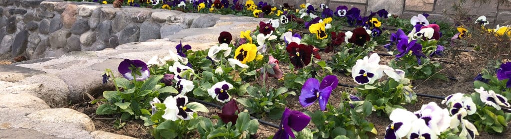 Common Areas | Caughlin Ranch Home Owners' Association