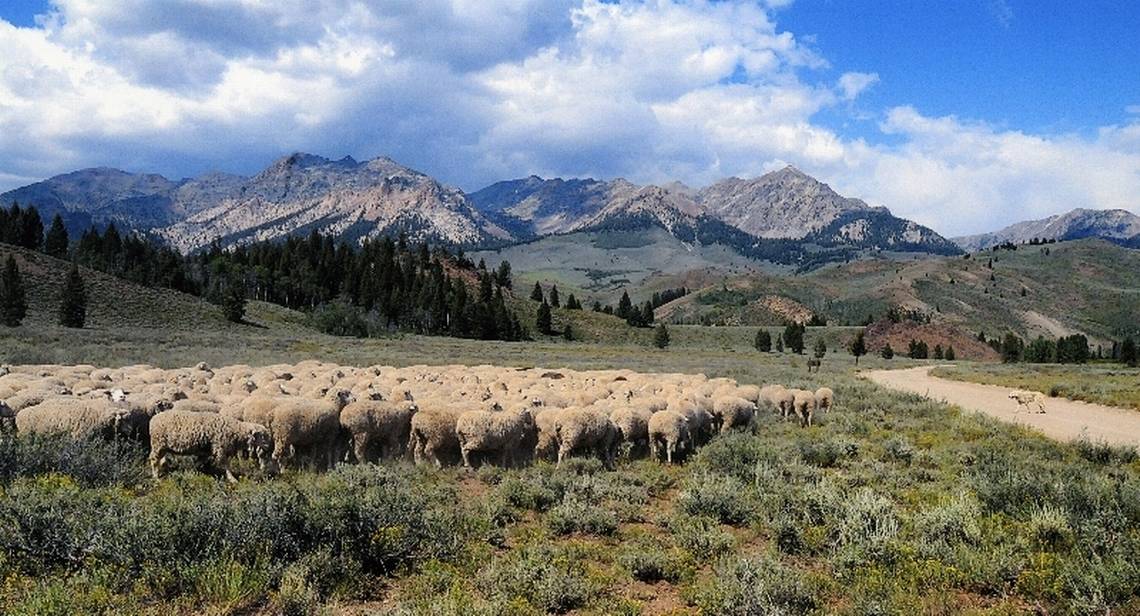 Common Areas | Caughlin Ranch Home Owners' Association